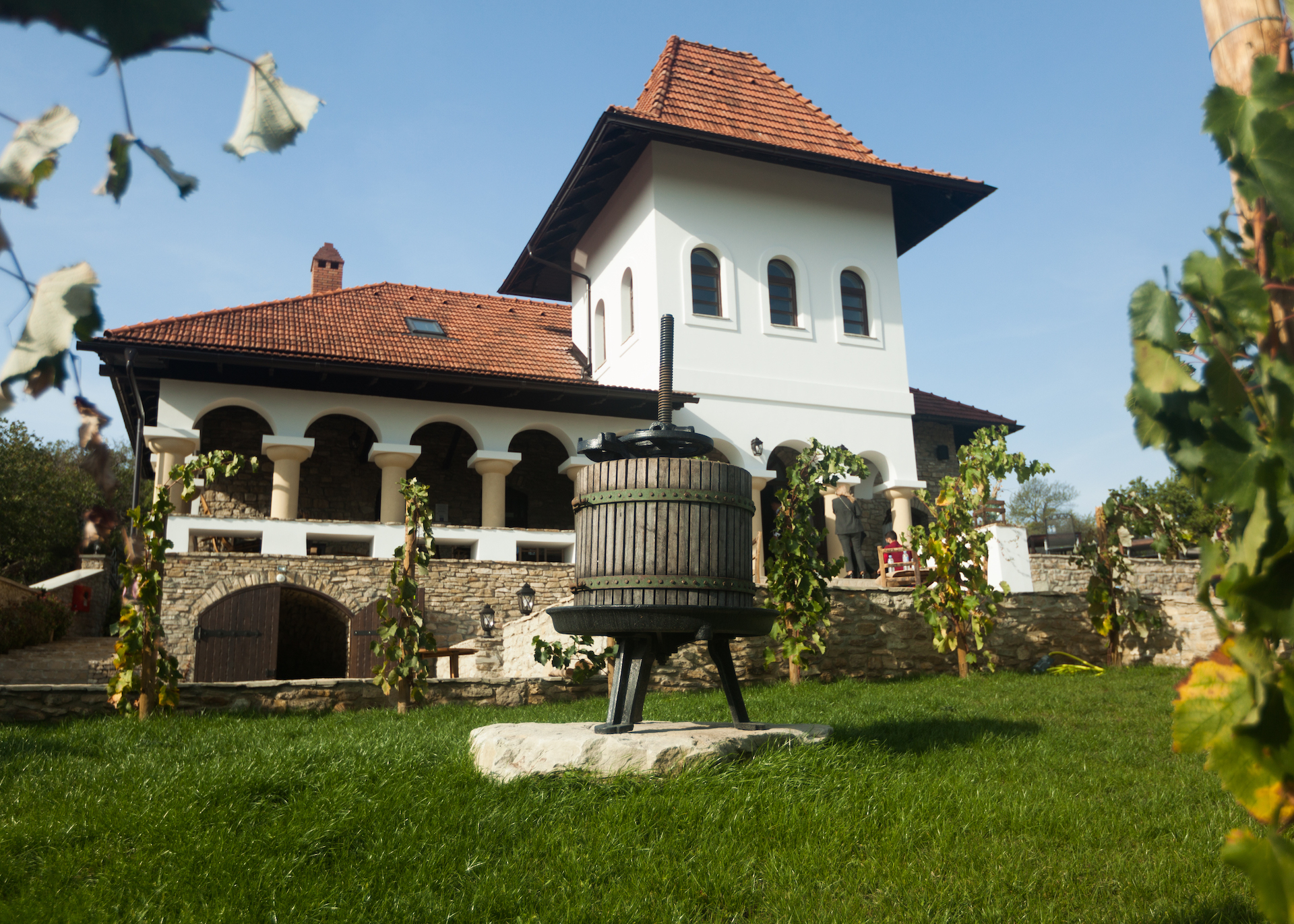 Traseul vitivinicol de drumeție și ciclism Mircești-Sculeni - Moldova ...