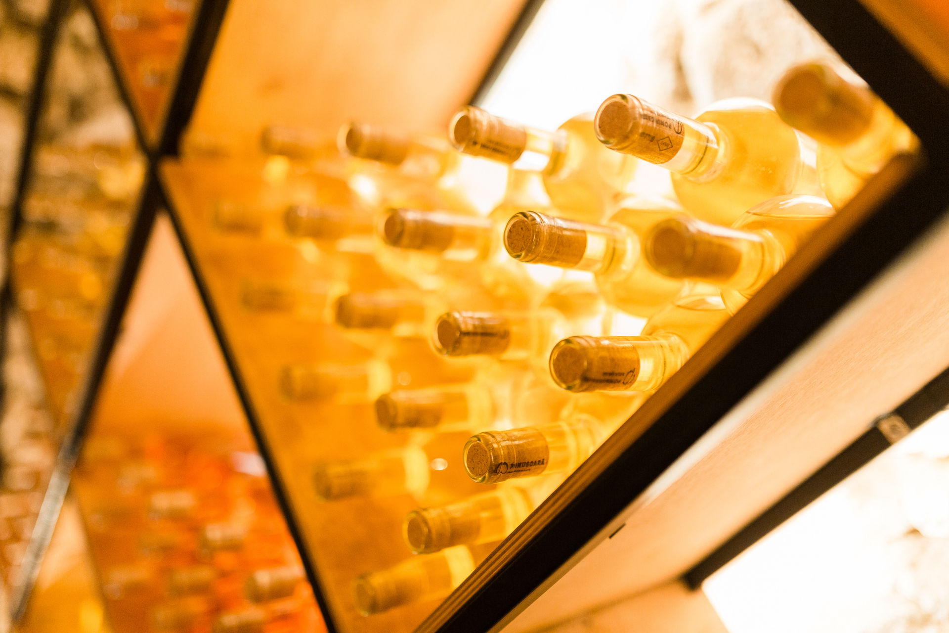 Codru Geographical Indication Region - Moldova Travel