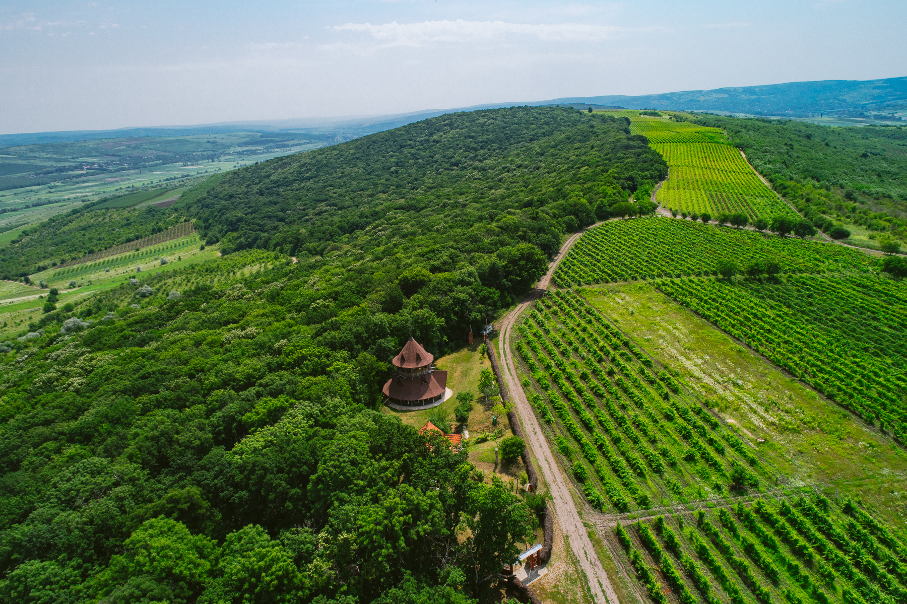 Trasee de drumeție la vinăriile artizanale - Moldova Travel